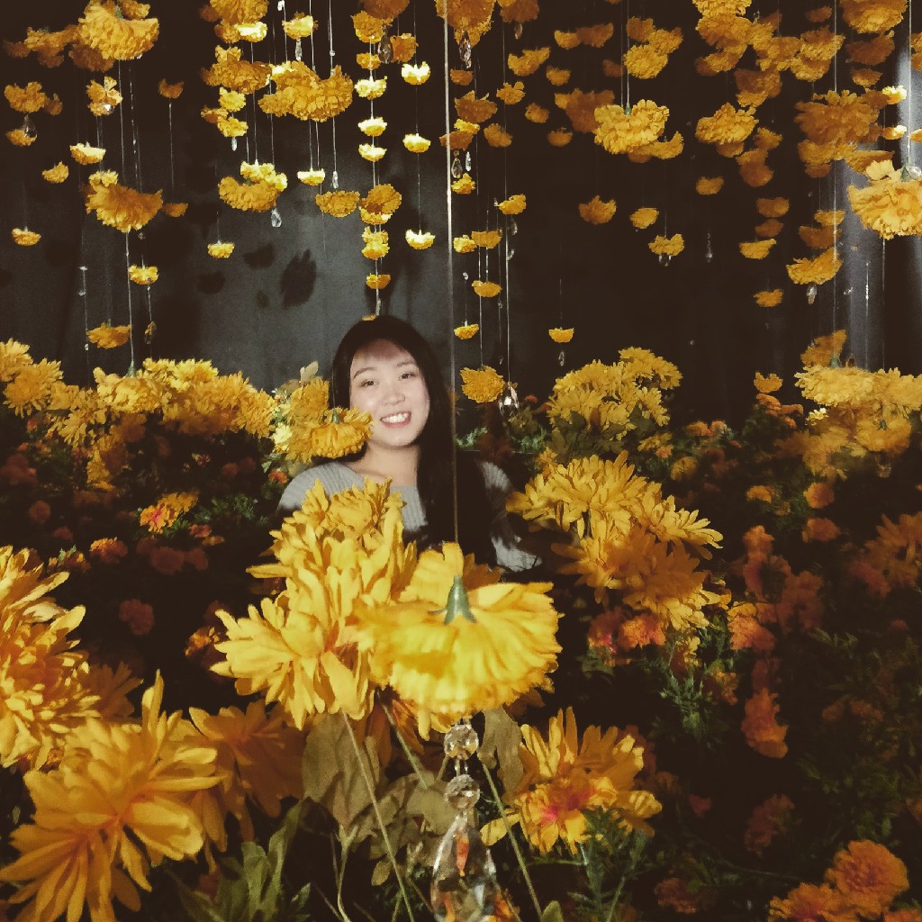 WEB222 Final Assessment